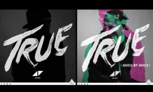 アヴィーチー『True』&『True: Avicii by Avicii』解説