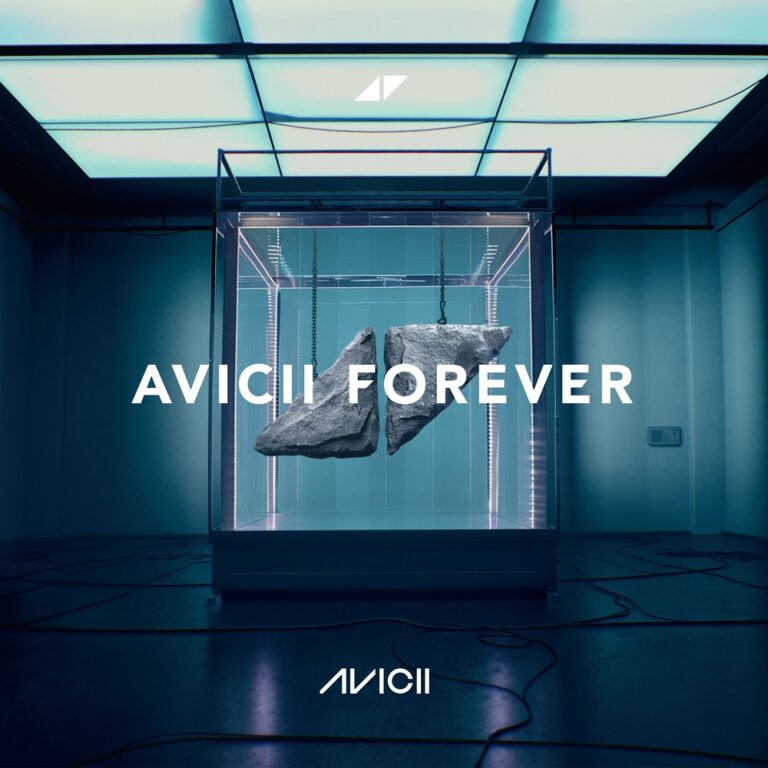 アヴィーチー『True』&『True: Avicii by Avicii』解説